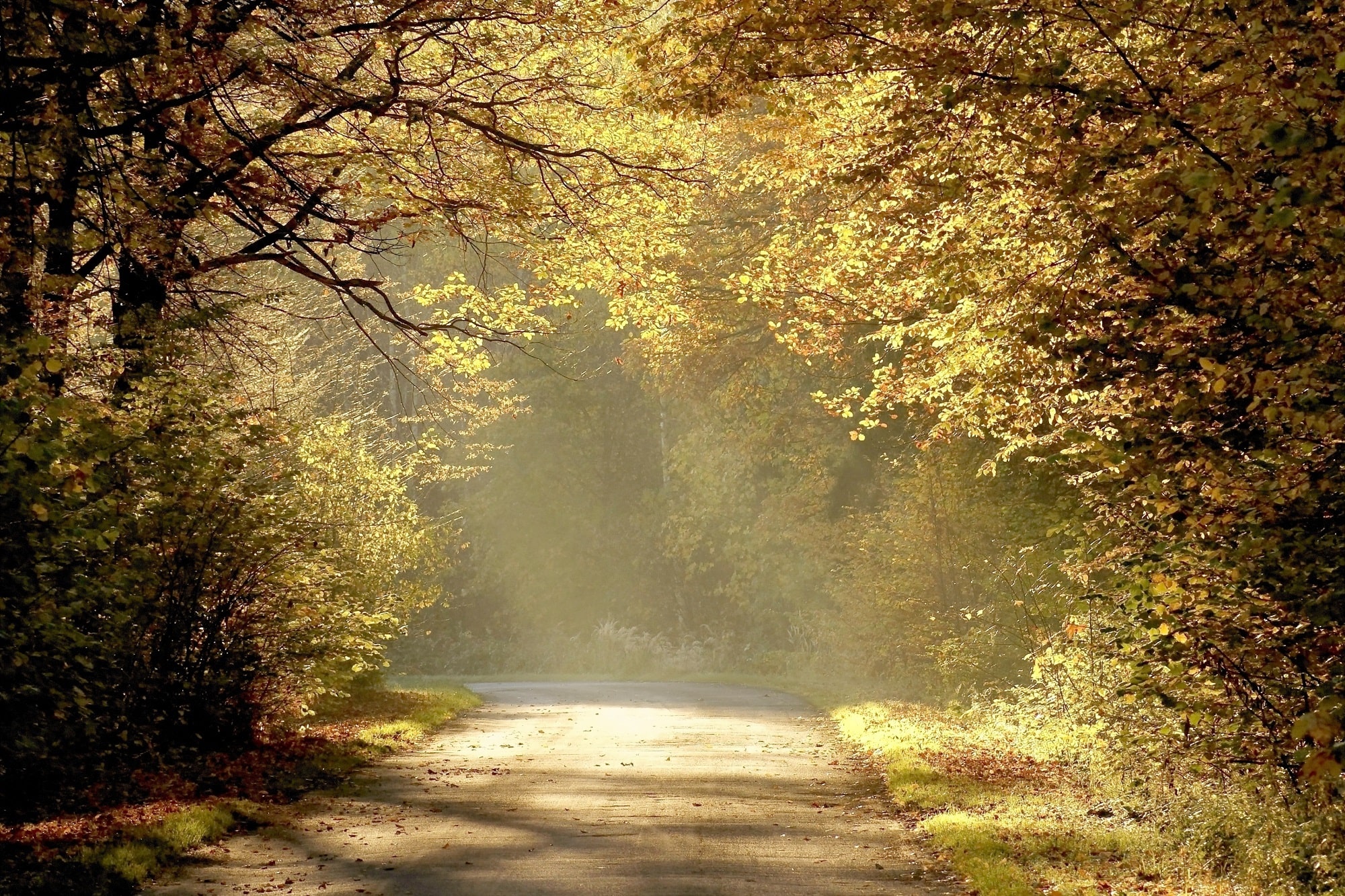 Divorce Counseling Cross Christian Counseling Center